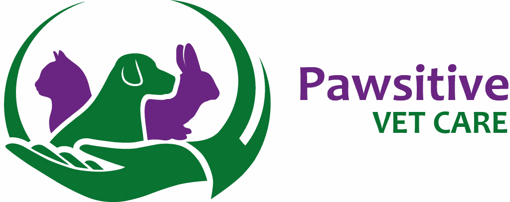 Work With Us – Pawsitive Vet Care